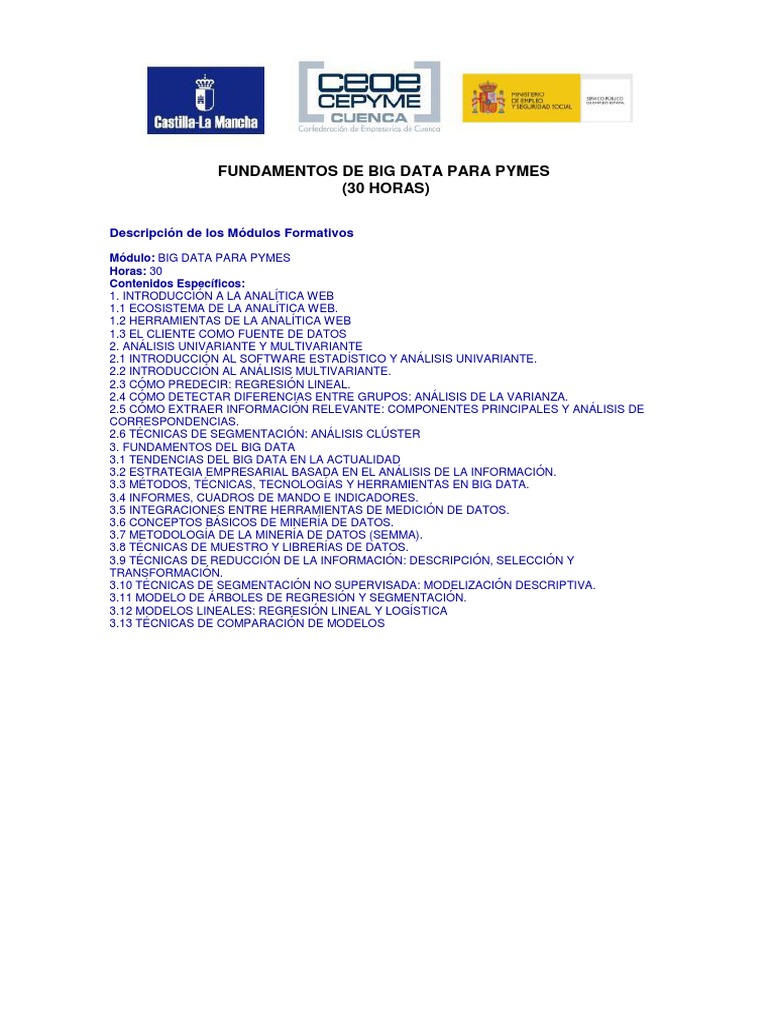 Fundamentos de Big Data para Pymes | PDF | Big Data | Procesamiento de ...
