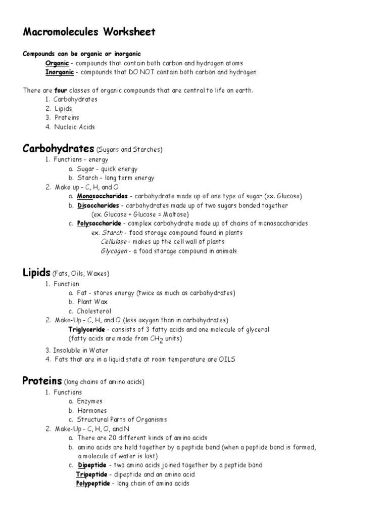 Macromolecules - Worksheet Answers - Odt | PDF | Carbohydrates | Rna