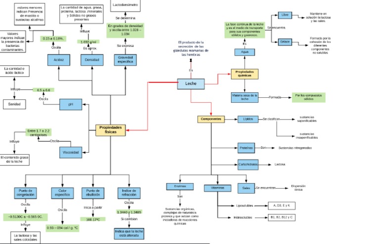 Mapa Conceptual Leche | PDF