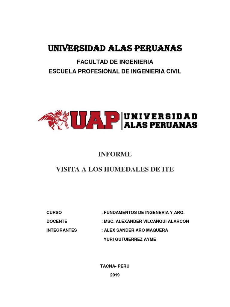 Informe Visita Humedales de Ite | PDF | Contaminación | Minería
