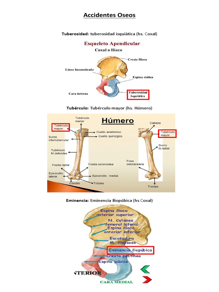 Accidentes Oseos | PDF