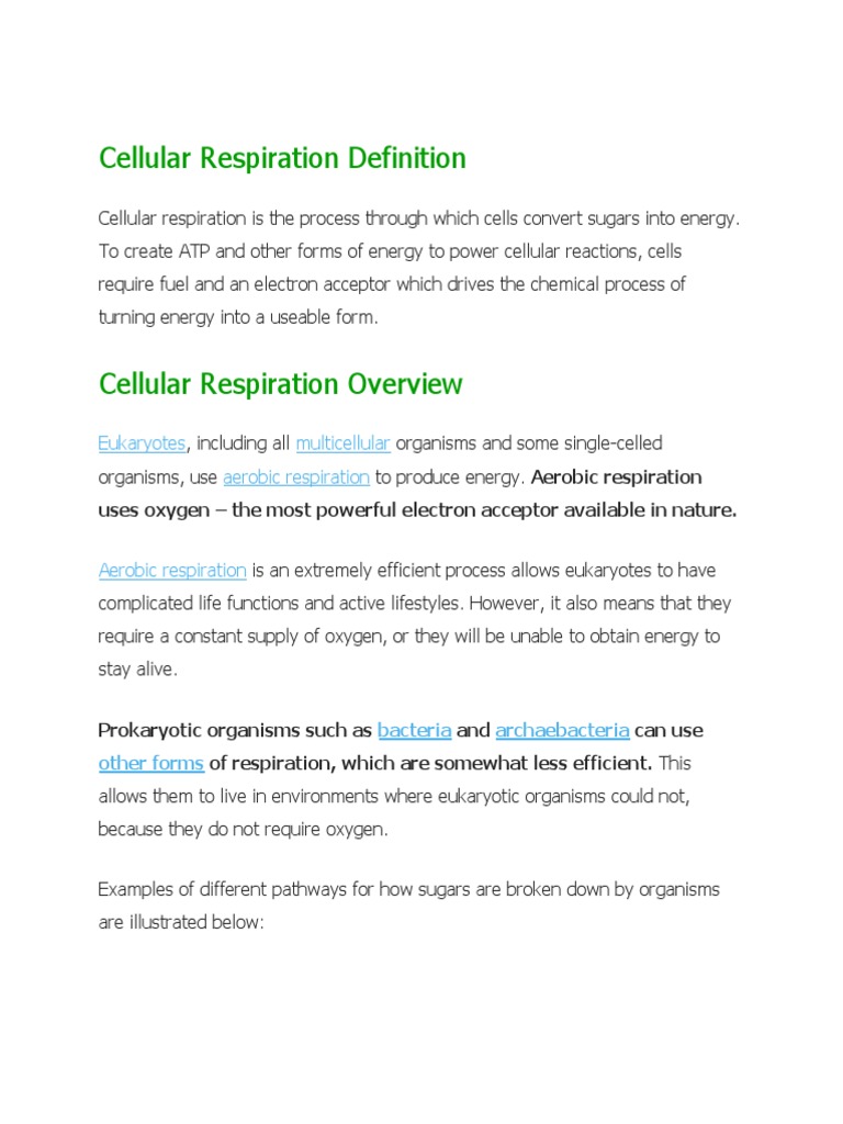 Cellular Respiration Definition | Download Free PDF | Cellular ...