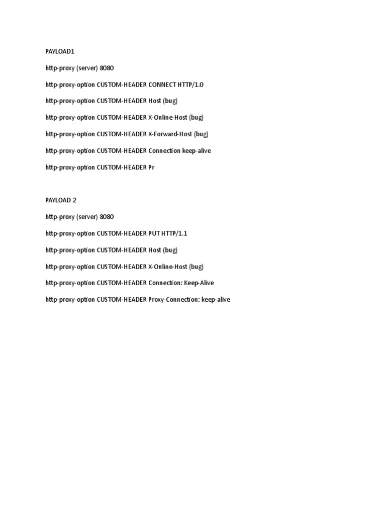 PAYLOAD Openvpn | PDF