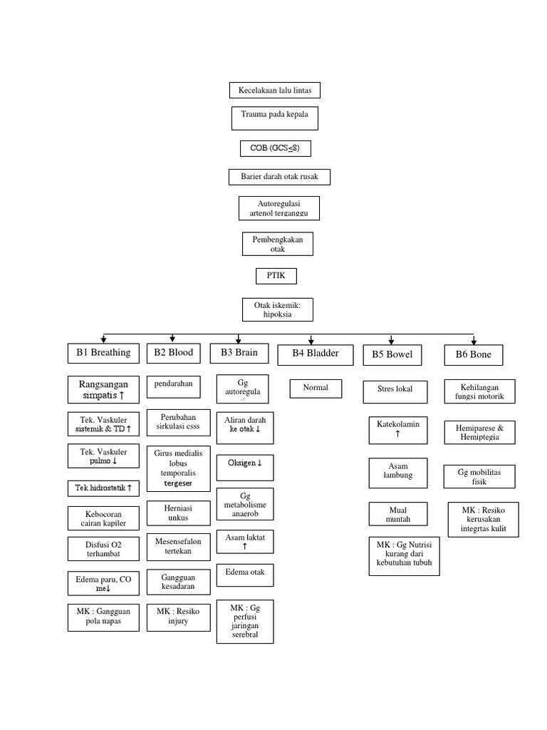 B1 Breathing B2 Blood B3 Brain B4 Bladder B5 Bowel B6 Bone | PDF