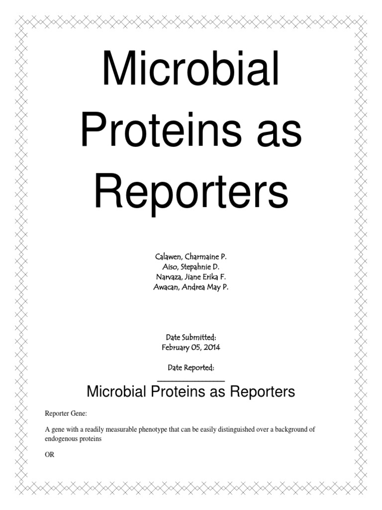 mICROBIAL PROTEINS | PDF | Luciferase | Green Fluorescent Protein
