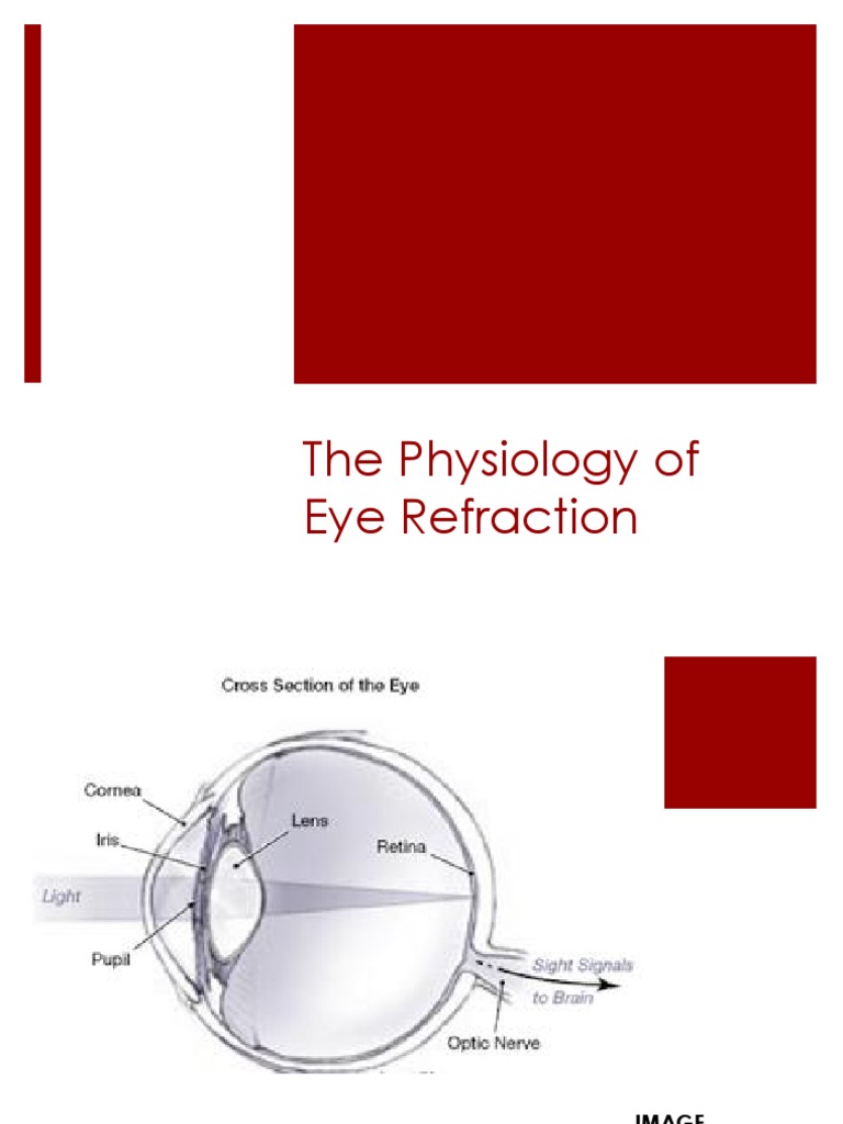 Physiology of Eye Refraction Explained | PDF