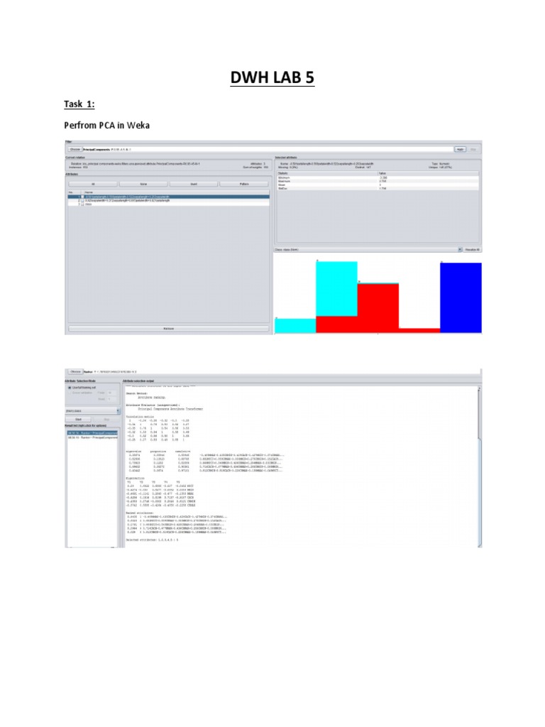 DWH Lab 5: Task 1 | PDF