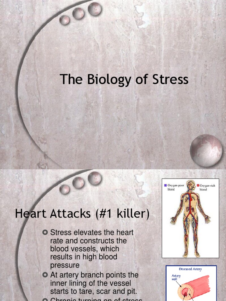 The Biology of Stress | PDF | Stress (Biology) | Sleep