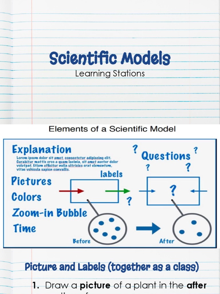 Plant Growth Model Activity Guide | PDF | Teaching Methods & Materials