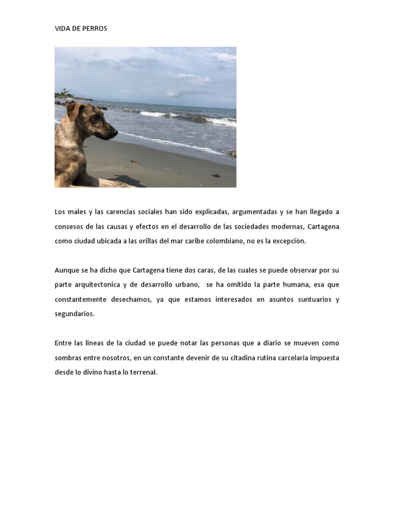 Vida de Perros | PDF