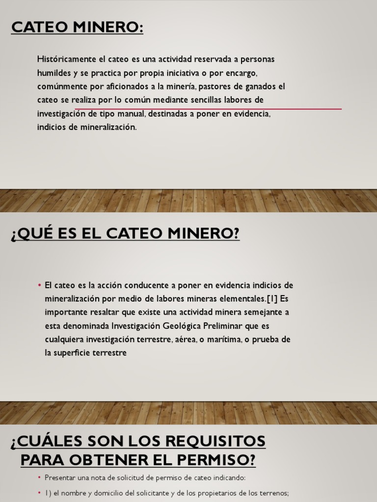 Definición y Proceso del Cateo Minero | PDF | Minería | Business