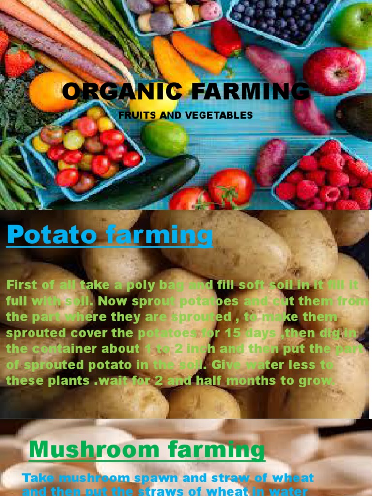 Organic Farming: Fruits and Vegetables | PDF | Seed | Soil