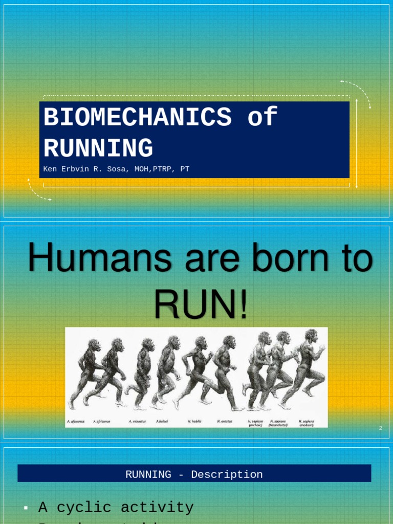 Biomechanics of Running: An In-Depth Look at the Phases, Mechanics, and ...