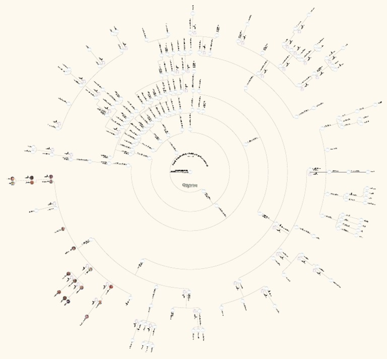 Ariyaputhira Vagiyura Family Tree1 | PDF