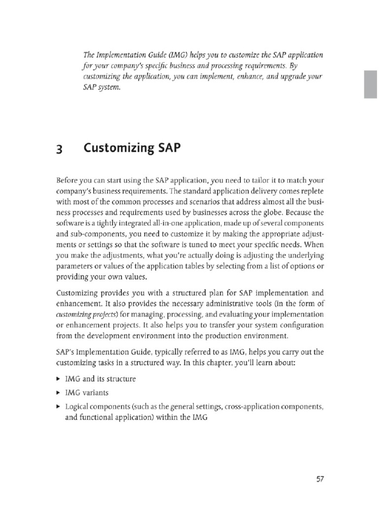 Sap Customizing | PDF