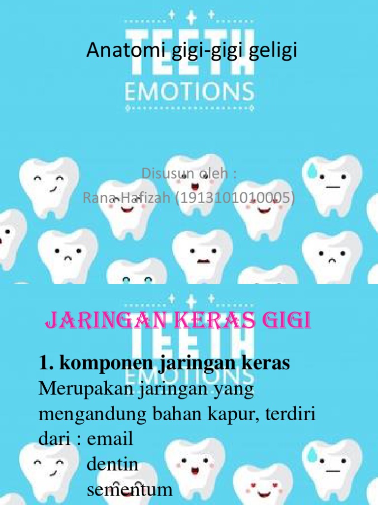 Anatomi Gigi-Gigi Geligi | PDF