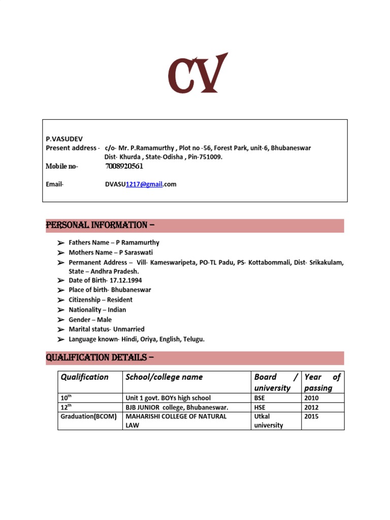 P. Vasudev's CV: Accountant & Data Analyst | PDF