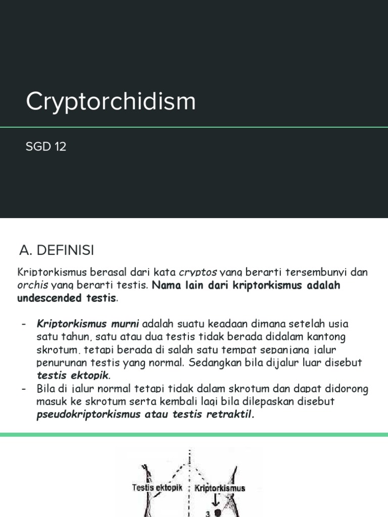 Definisi dan Penanganan Kriptorkidismus | PDF | Kesehatan Holistik ...