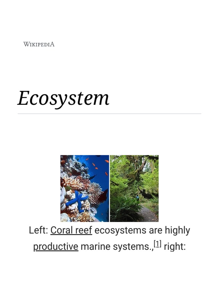 Ecosystem - Wikipedia | PDF | Primary Production | Ecosystem