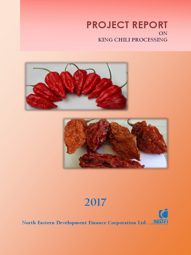 Project Report On King Chilli Processing Unit | PDF | Expense | Foods