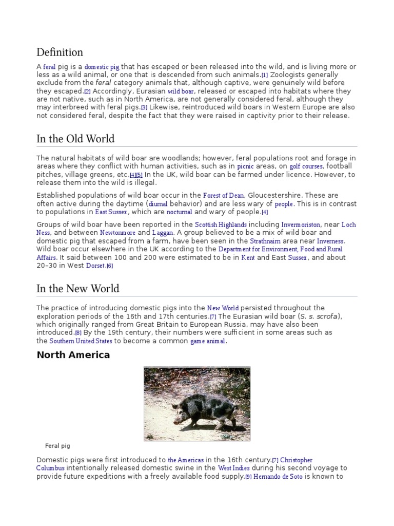North America: Feral Pig | PDF | Organisms | Animals And Humans