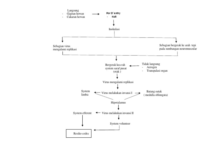 Pathway Rabies | PDF