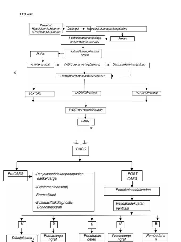 Pathway TVD Post CABG | PDF