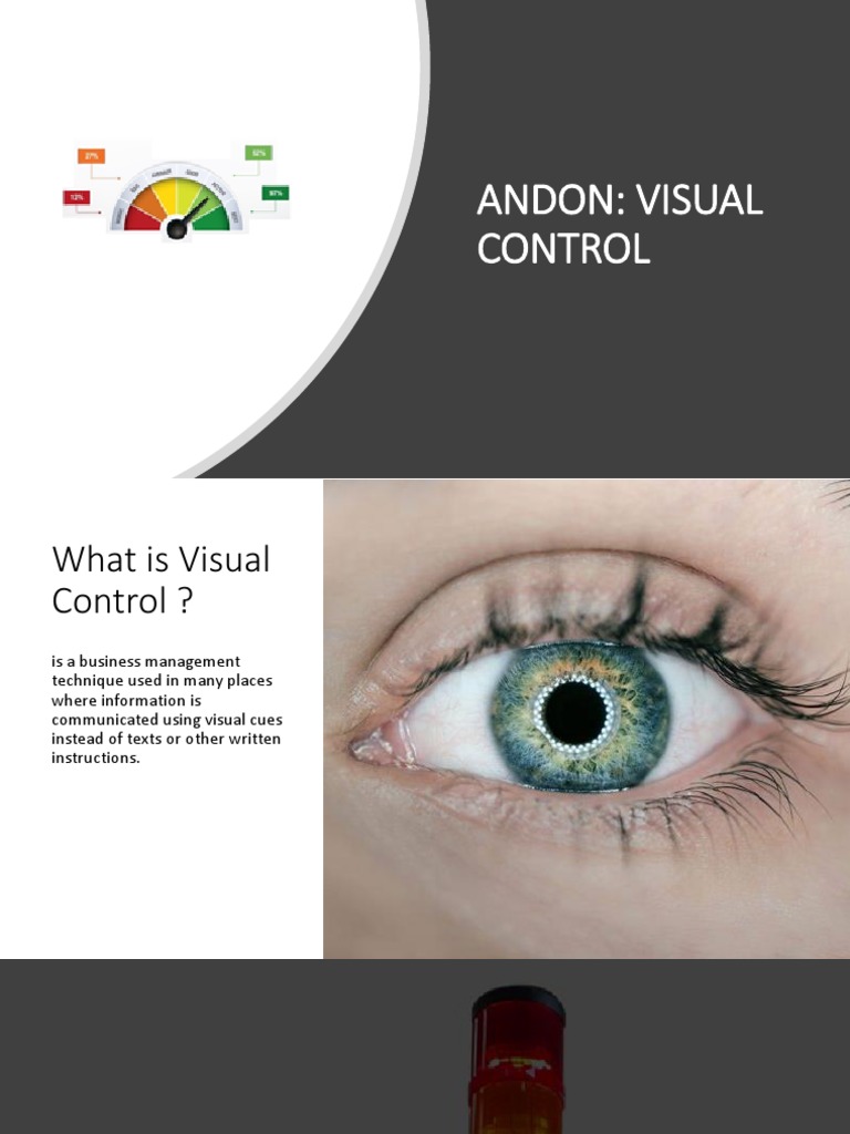 Andon Control Visual | PDF | Lean Manufacturing | Business