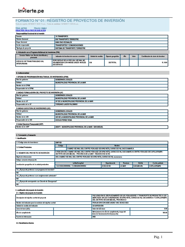 Formato N° 01: Registro De Proyectos De Inversión | Valor presente neto ...