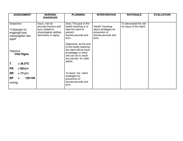 NCP Older Adult3 | PDF