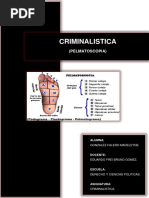 Palametoscopia y Pelmatos | PDF | Huella dactilar | Ciencia forense