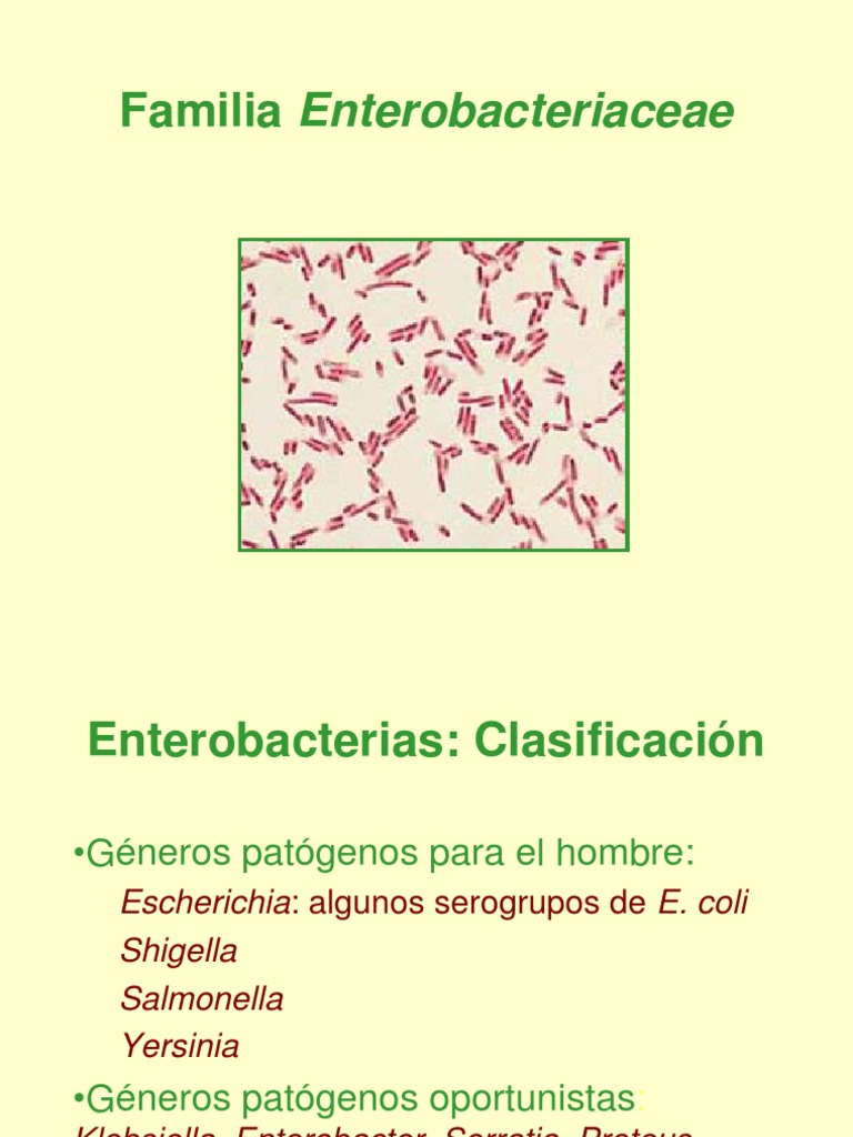 Familia Enterobacteriaceae | PDF | Salmonela | Escherichia coli