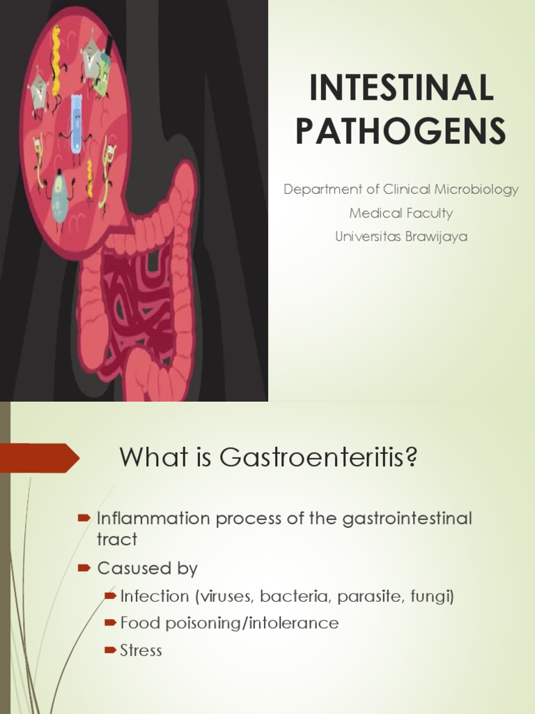 Intestinal Pathogens: Department of Clinical Microbiology Medical ...