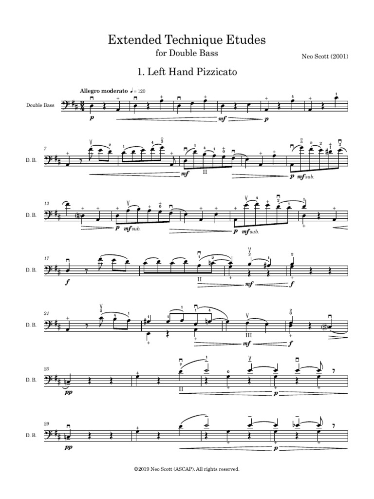 01 - Extended Technique Etudes For The Double Bass | PDF | String ...