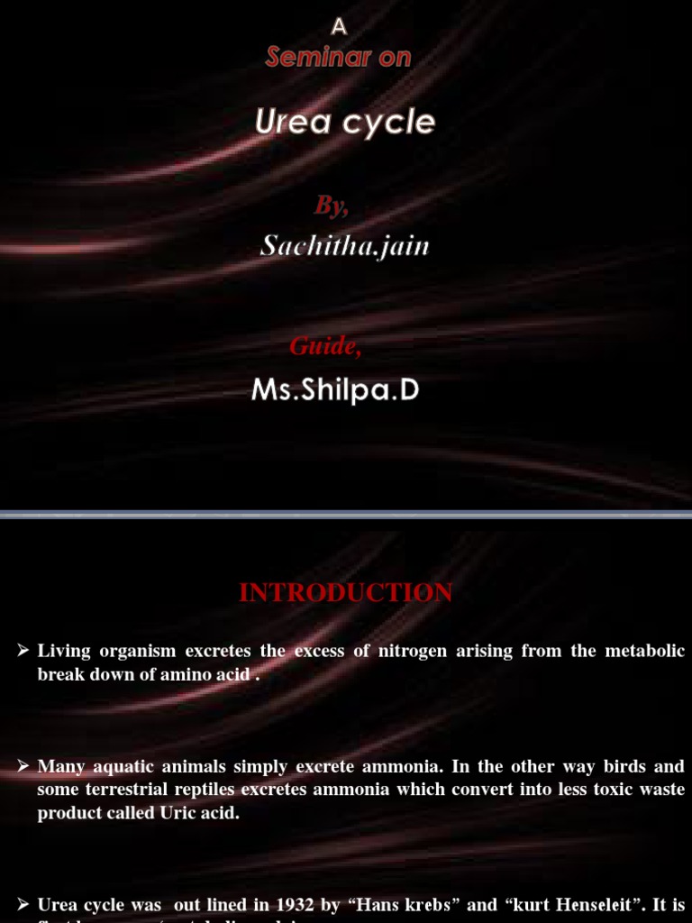 Urea Cycle | PDF | Nitrogen | Biochemistry