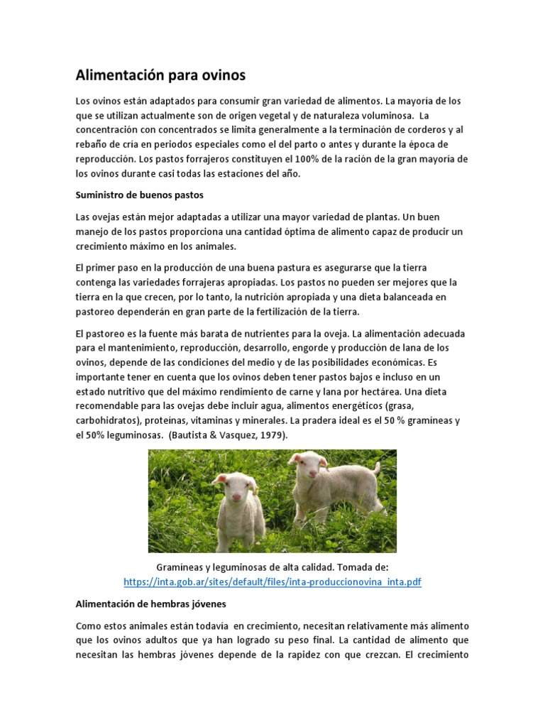 Ovinos | PDF | Oveja | Alimentos