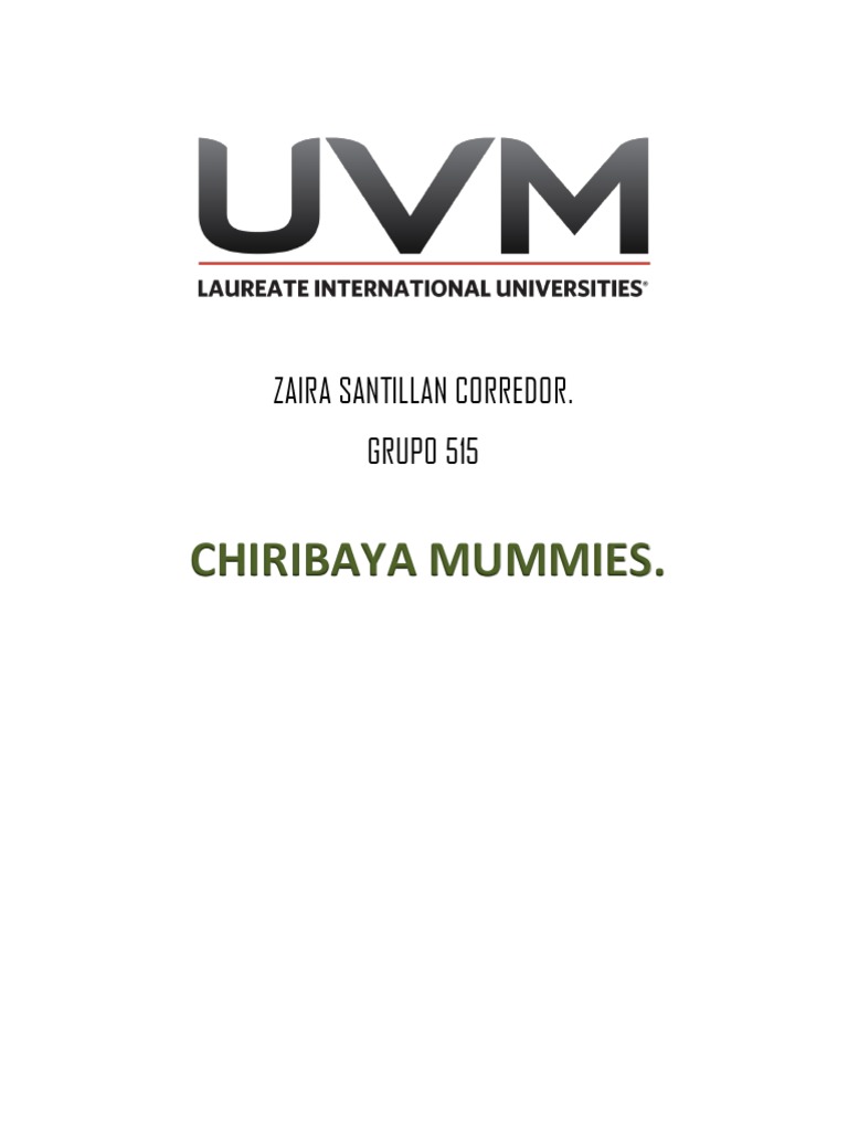 Chiribaya Culture | PDF | Archaeology