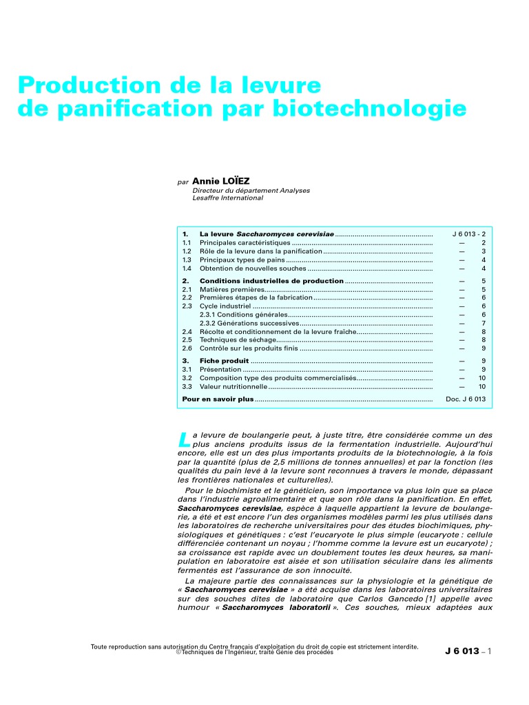 Production de La Levure de Panification Par Biotechnologie | PDF ...