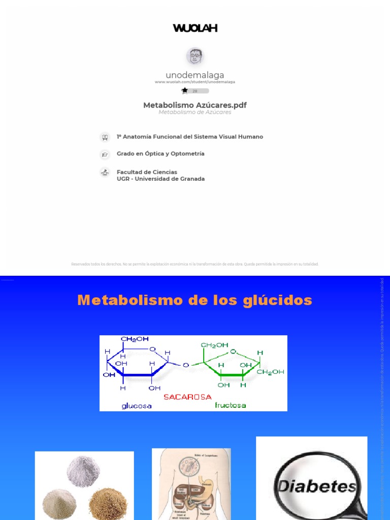 Metabolismo Azúcares | PDF | Glucólisis | Carbohidratos