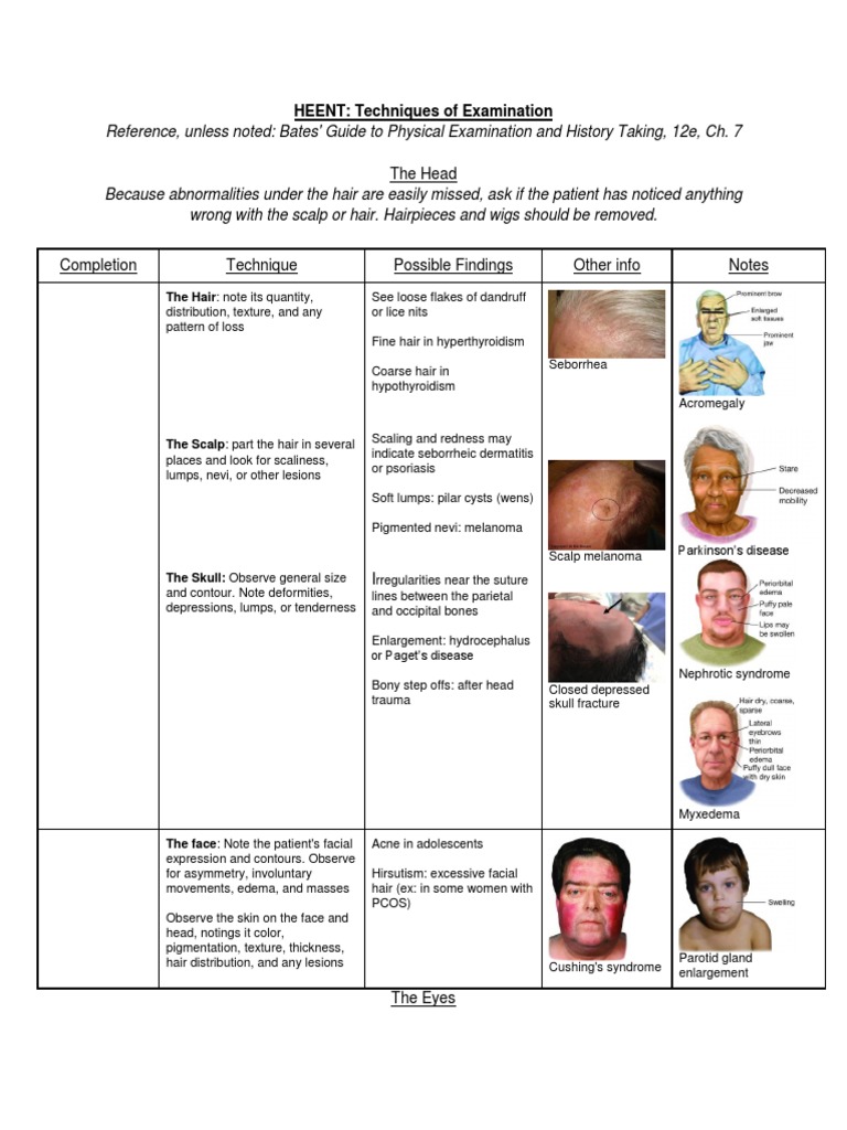 The Head: HEENT: Techniques of Examination | PDF | Human Nose | Ear
