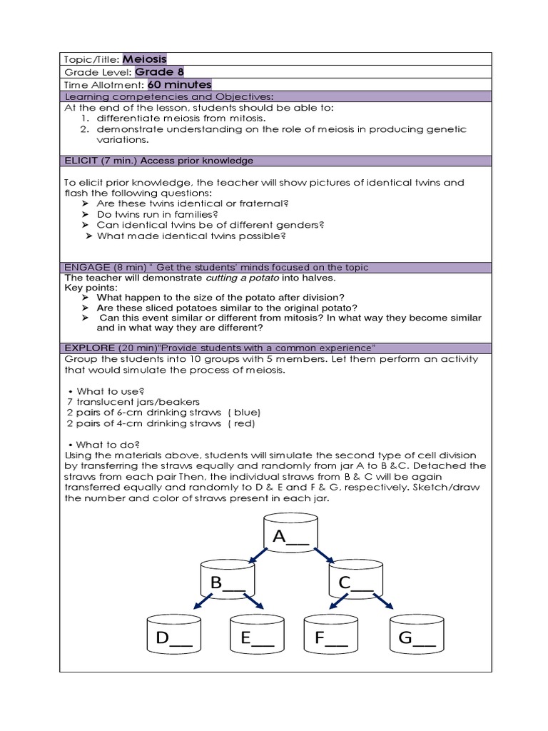 7E Lesson Plan | PDF | Meiosis | Learning