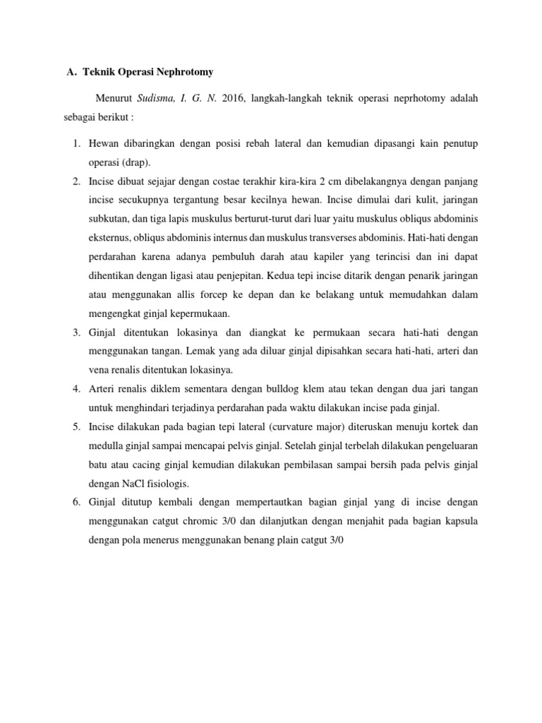 Teknik Operasi Nephrotomy | PDF