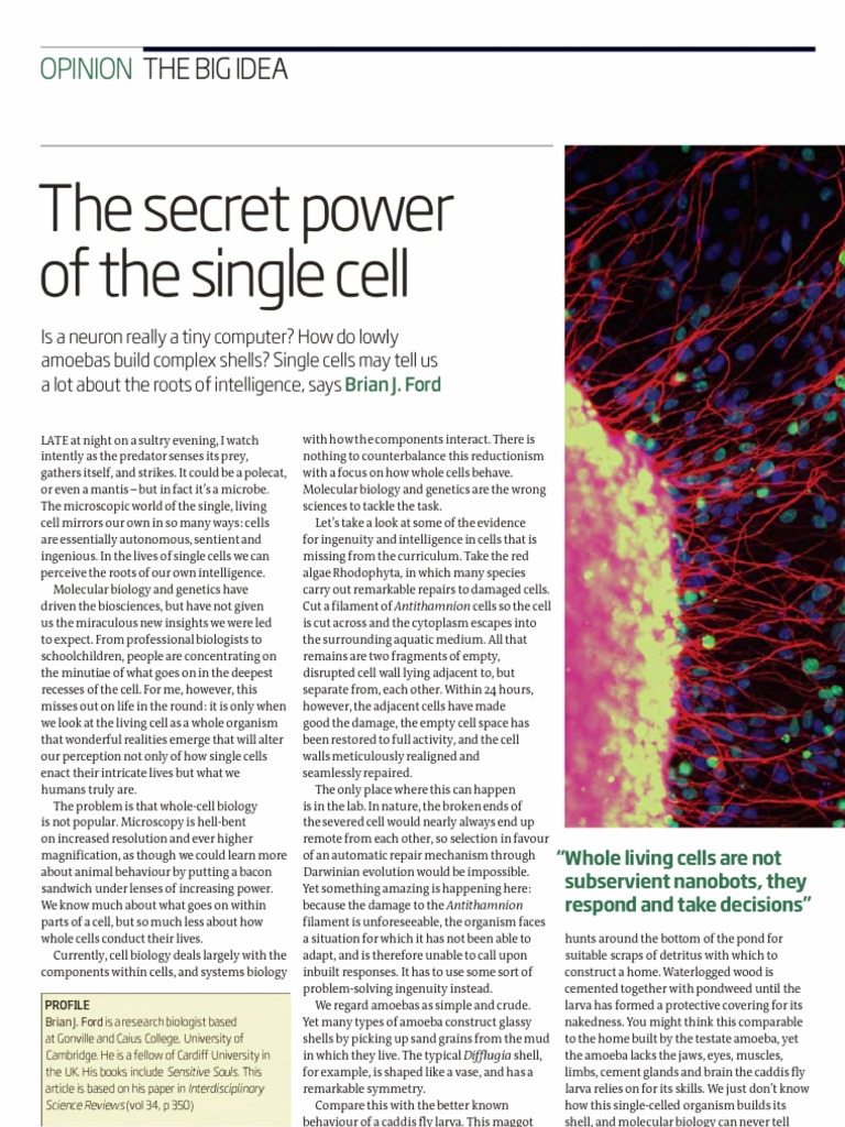 Cell Intelligence | PDF | Brain | Cell (Biology)