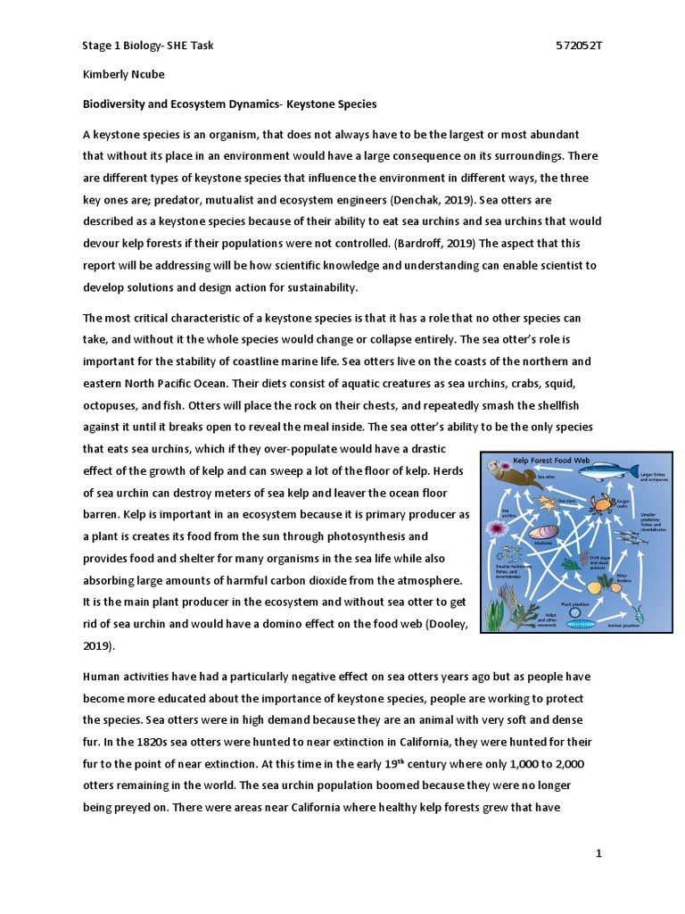 SHE Task - Keystone Species | PDF | Sea | Ecology