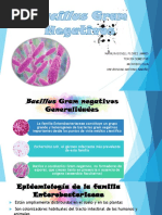 Espectro Antibioticos | PDF | Penicilina | Microbiología