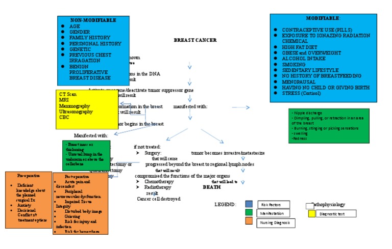 Breast Cancer Concept Map | Breast Cancer | Neoplasms