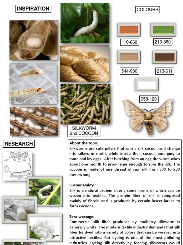 Sustainable Silk: Rearing & Innovation | PDF | Silk | Textiles