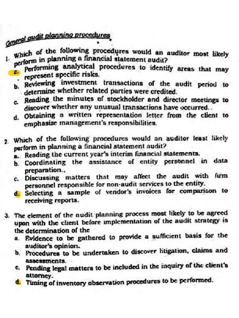 Audit Planning and Internal Control Procedures | PDF