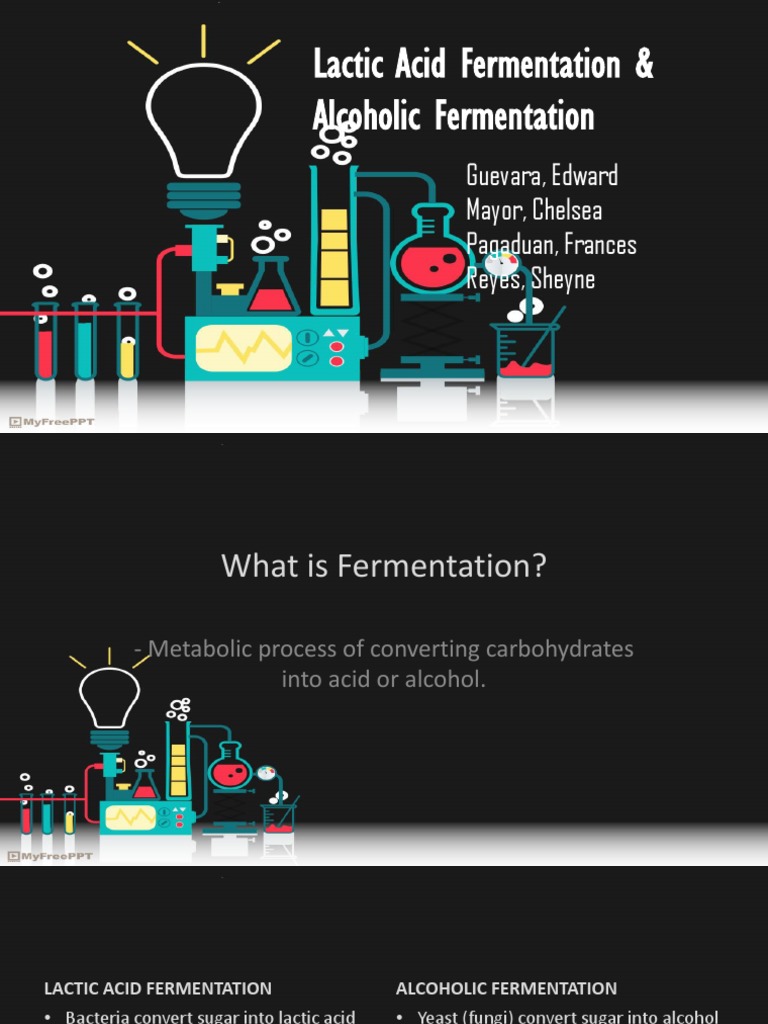 Fermentation PDF | PDF | Fermentation | Lactic Acid