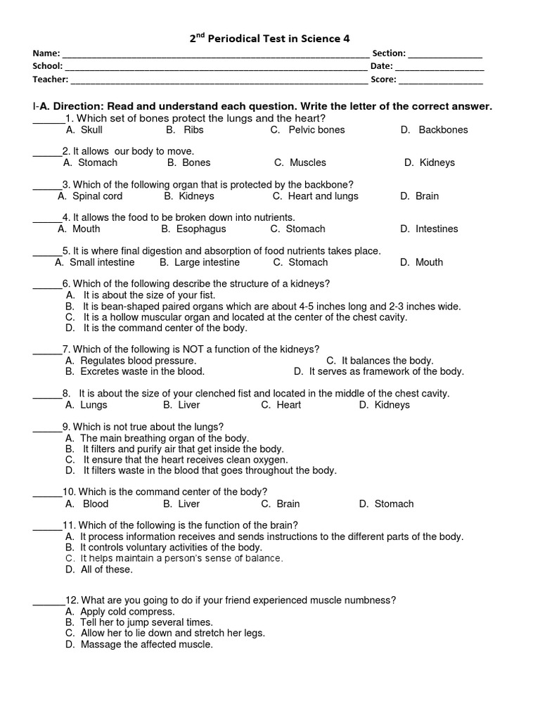 2nd Periodical Test in Science 4 | PDF | Human Body | Lung